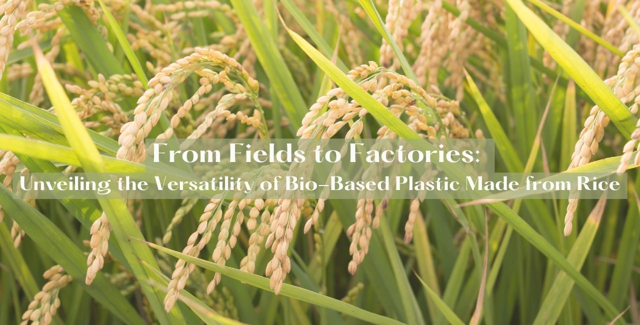 From Fields to Factories: Unveiling the Versatility of Bio-Based ...