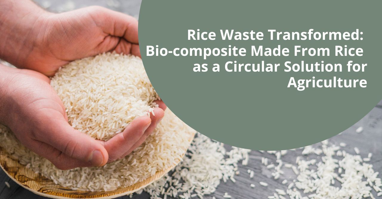Rice Waste Transformed: Bio-composite Made From Rice as a Circular ...