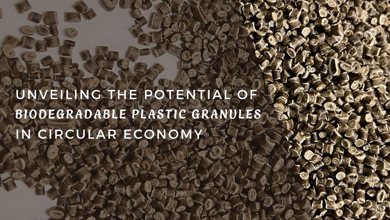 Unveiling the Potential of Biodegradable Plastic Granules in Circular Economy
