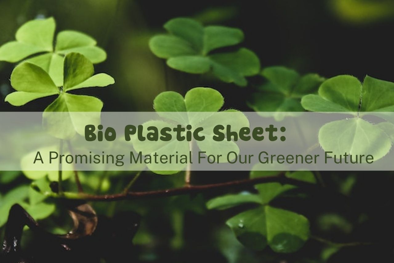 Bio Plastic Sheet: A Promising Material For Our Greener Future