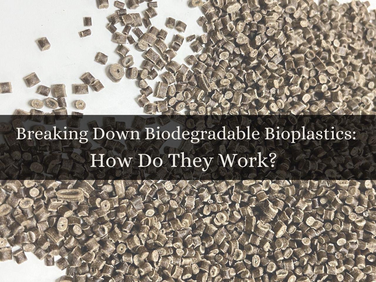 Breaking Down Biodegradable Bioplastics: How Do They Work? Breaking Down Biodegradable Bioplastics: How Do They Work?