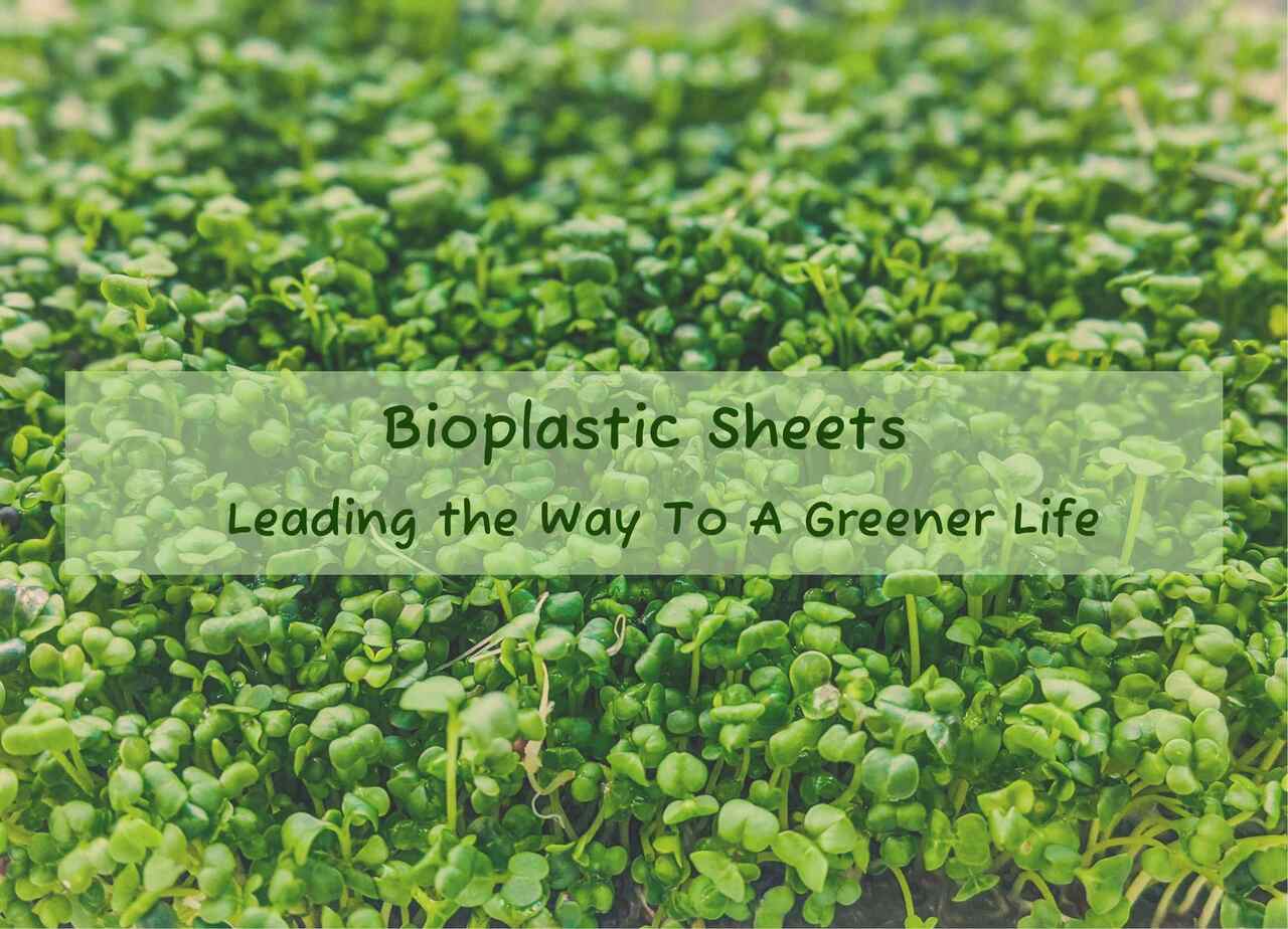 Bioplastic Sheets Leading the Way To A Greener Life
