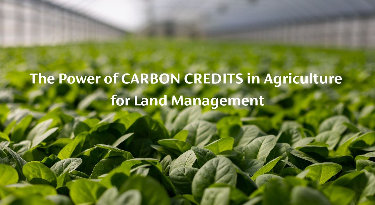 The Power of Carbon Credits in Agriculture for Land Management